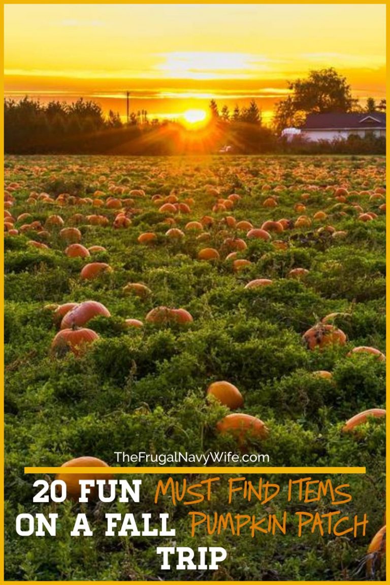 20 Fun Must Find Items on a Fall Pumpkin Patch Trip - The Frugal Navy Wife