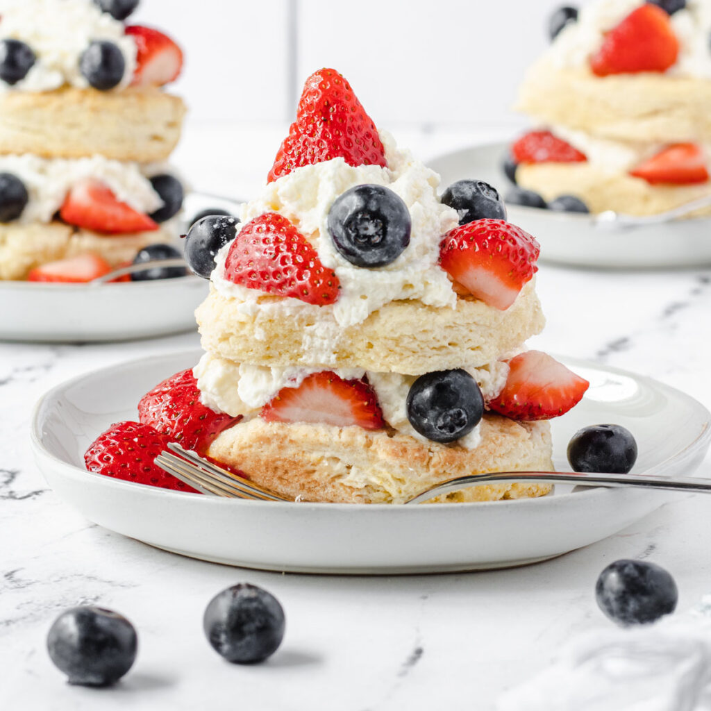 130+ of the Best Shortcake Recipes - The Frugal Navy Wife