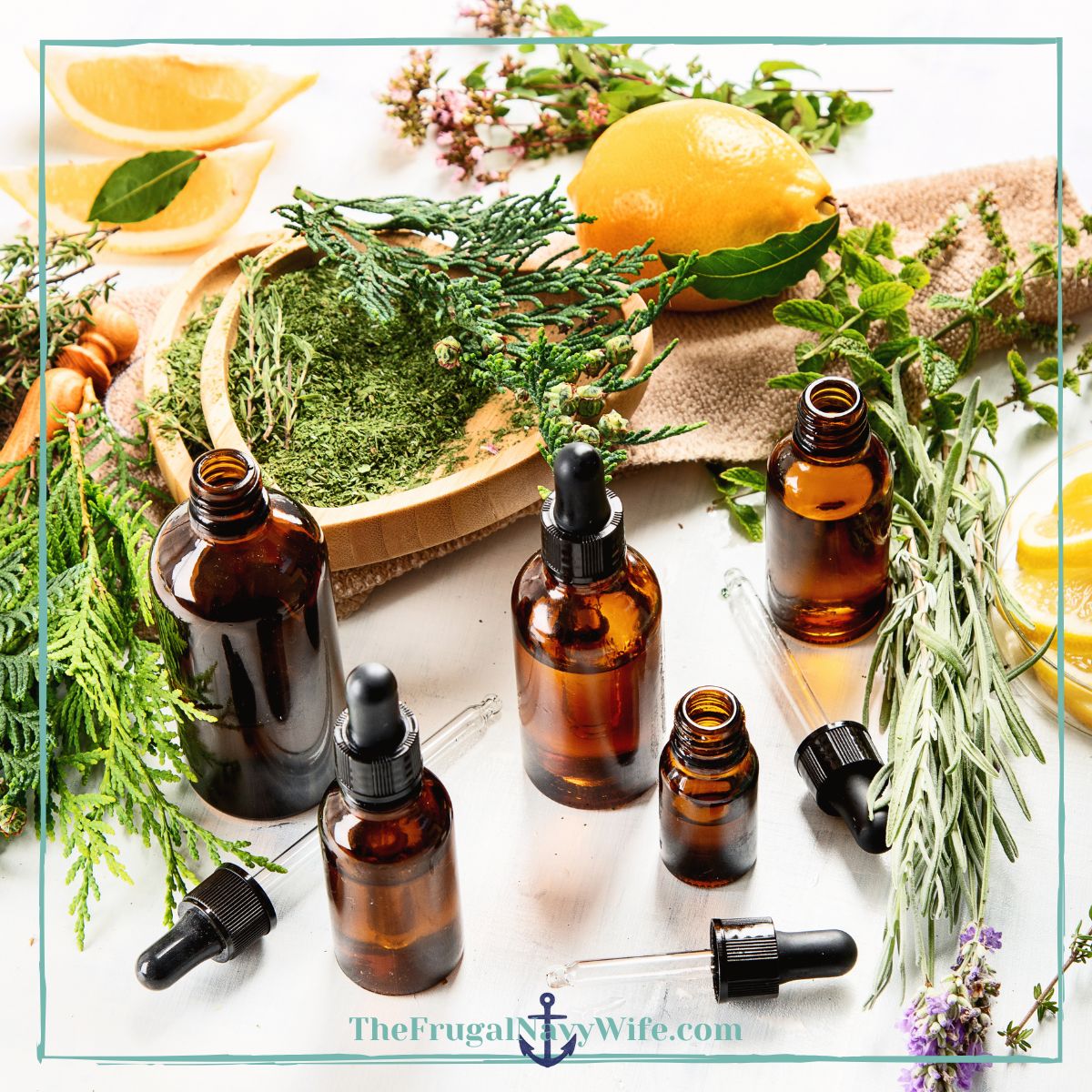 Germ-Killing Essential Oils You Need to Know - The Frugal Navy Wife