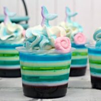 Dessert Shot Recipes - The Frugal Navy Wife